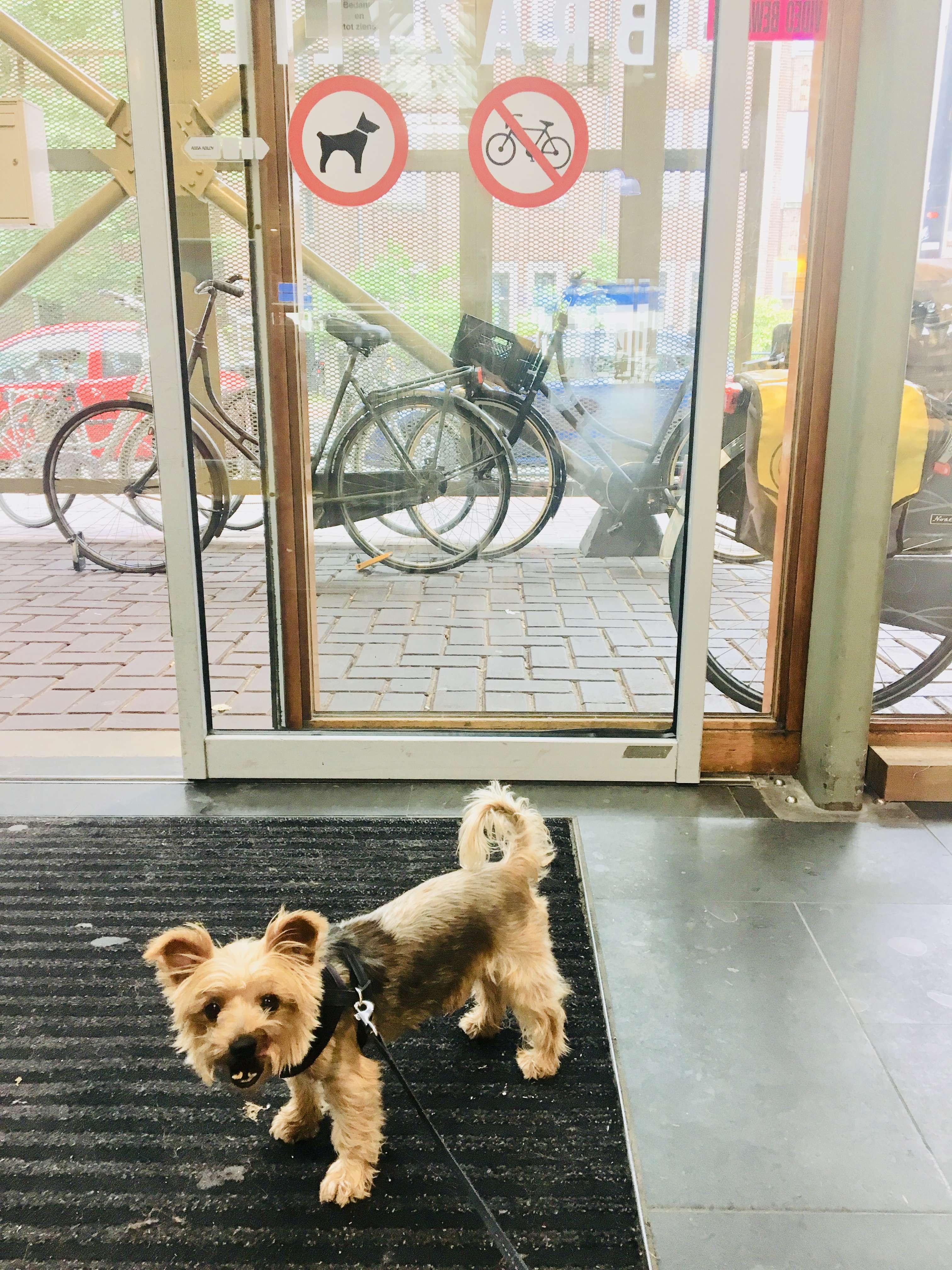 10 More Picks for Healthy Travel (Healthy Destinations PART II) - Wet ...