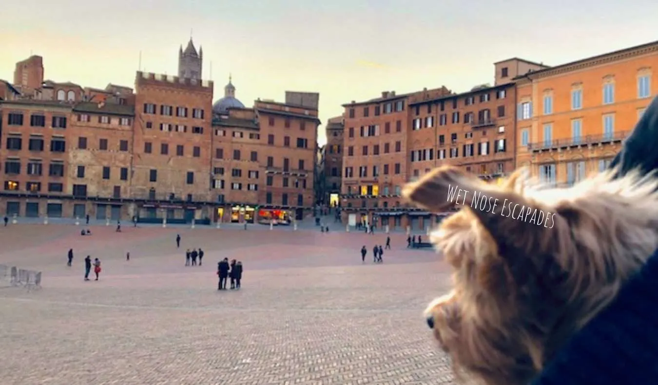Traveling to Italy with a Dog: What You MUST Know - Wet Nose Escapades