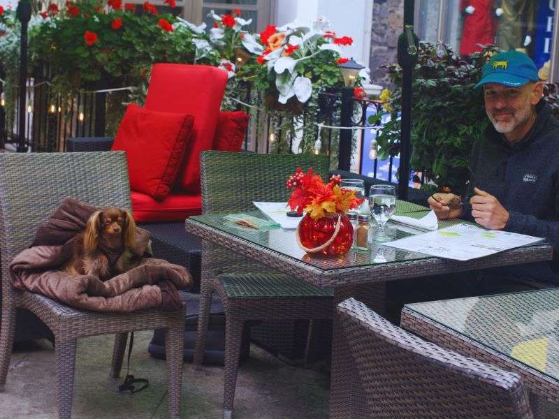 A Dog-Friendly Guide to Quebec City, Canada - Wet Nose Escapades