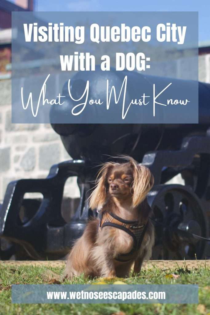 A Dog-Friendly Guide to Quebec City, Canada - Wet Nose Escapades