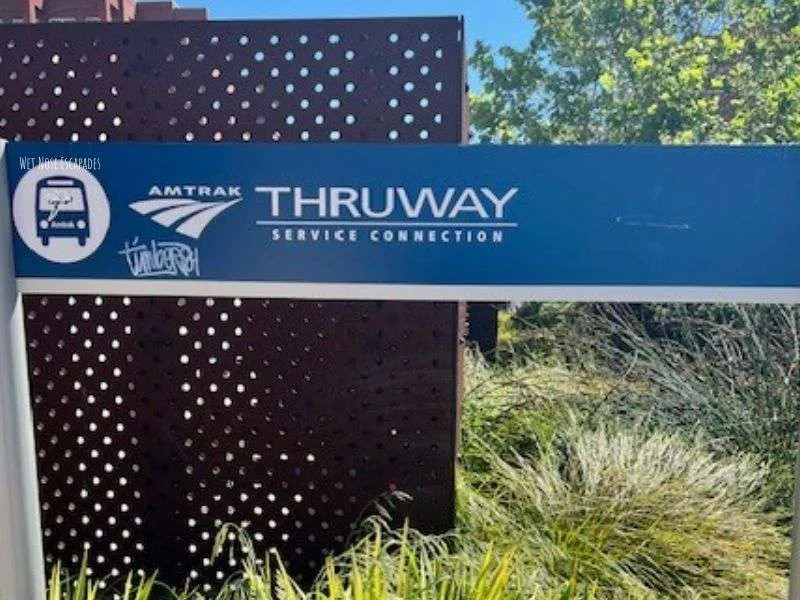 Riding Amtrak with Your Dog: What You MUST Know - Wet Nose Escapades